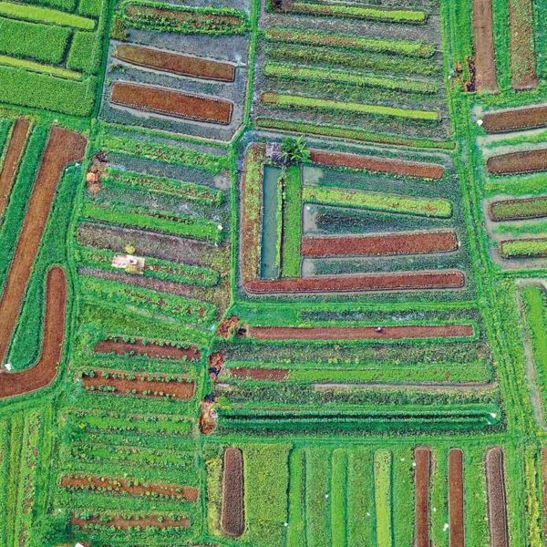 Carrier current management - Anjou Automation